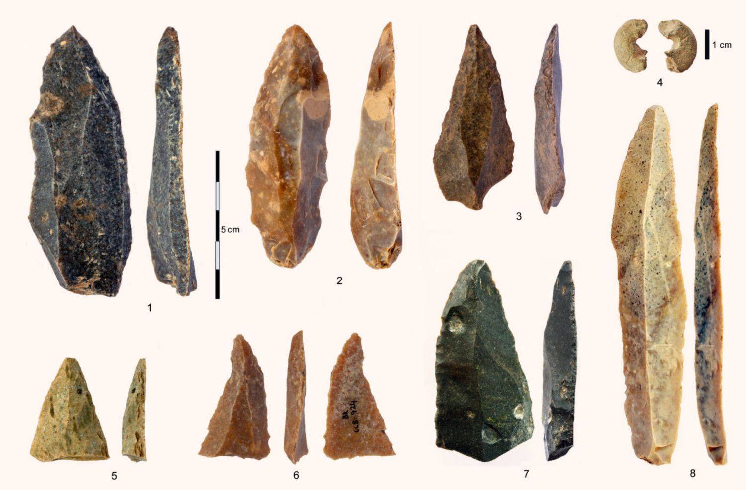 Odkryto najstarsze szczątki Homo sapiens w Europie! | Archeologia Żywa Odkryto najstarsze szczątki Homo sapiens w Europie! | Archeologia Żywa
