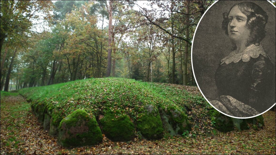 „Megality - historia sprzed 5500 lat” | Archeologia Żywa