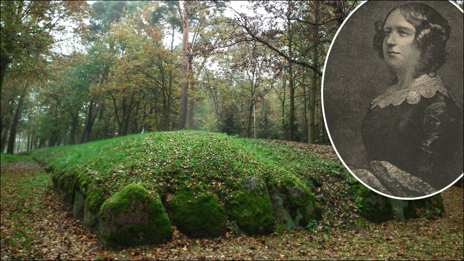 „Megality - historia sprzed 5500 lat” | Archeologia Żywa